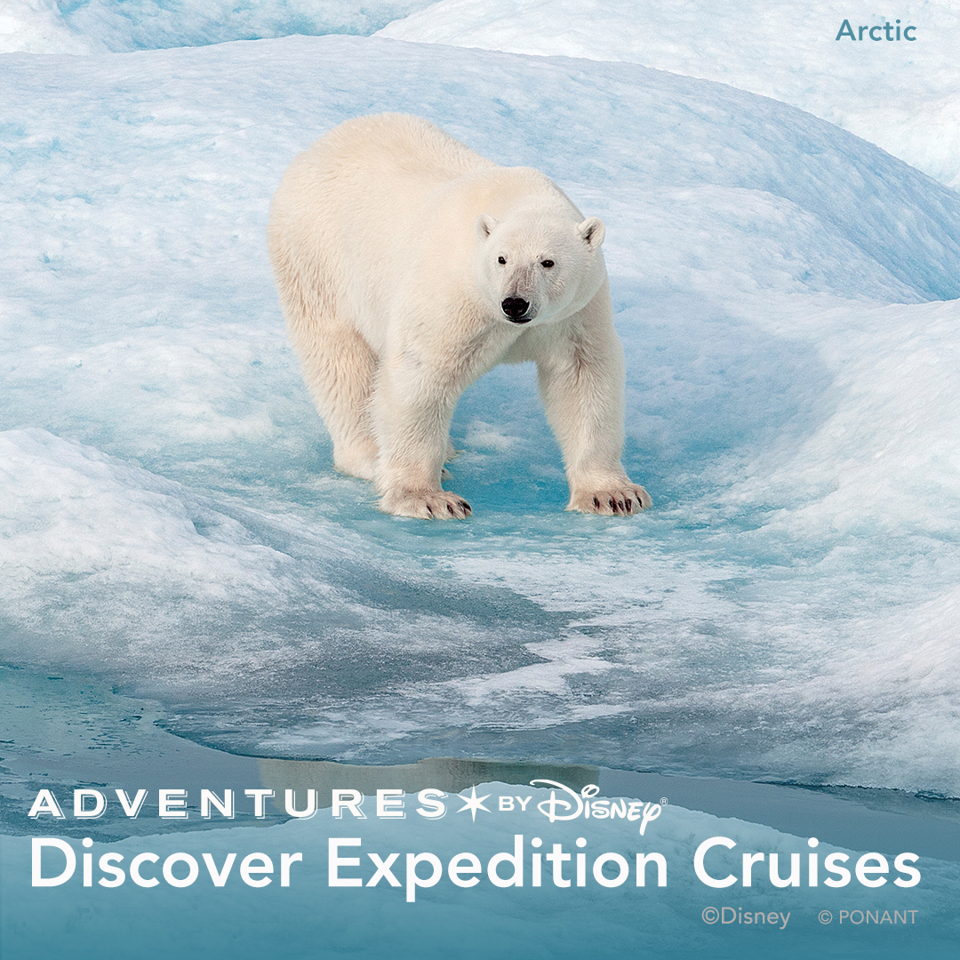 What is Adventures by Disney? - Magical Memory Planners